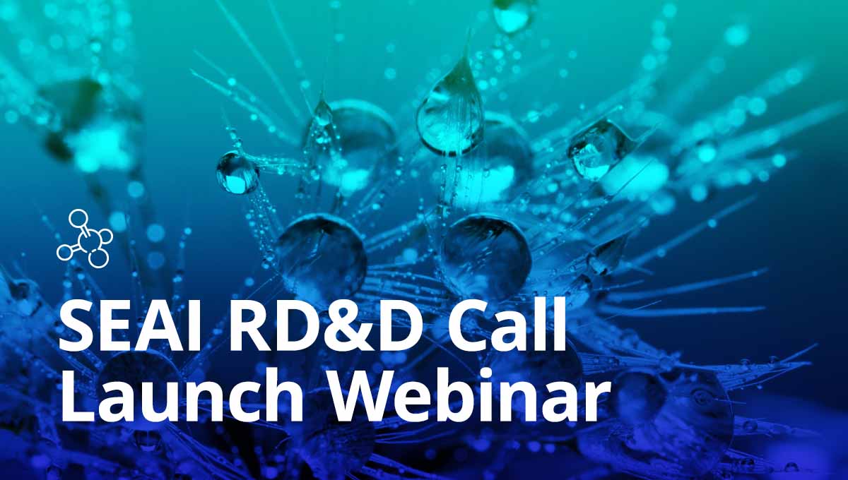 SEAI RD&D 2022 Call Launch Webinar | Marine Ireland