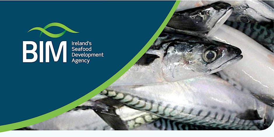 BIM Pelagic Information Session | Marine Ireland